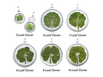 5-Leaf, 6-Leaf, 7-Leaf, 8-Leaf, 9-Leaf, 10-Leaf Clover – VillageSmith Gifts Singapore